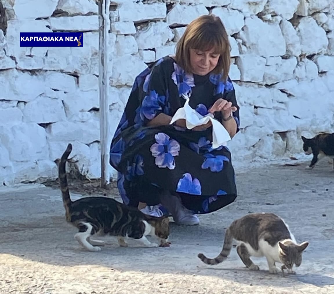 Η Πρόεδρος της Δημοκρατίας ταϊζει αδέσποτα γατιά στο Σπόα της Καρπάθου ...