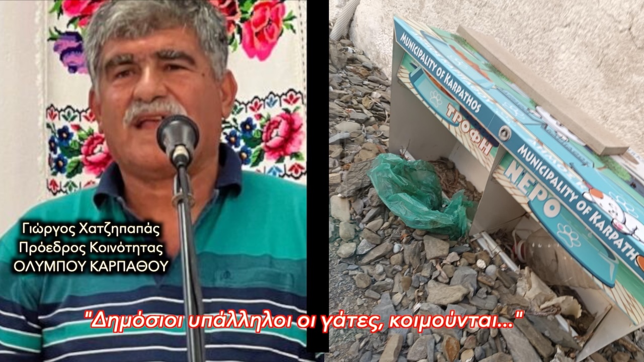 Γ. Χατζηπαπάς: "Οι γάτες έχουν γίνει δημόσιοι υπάλληλοι και κοιμούνται ...