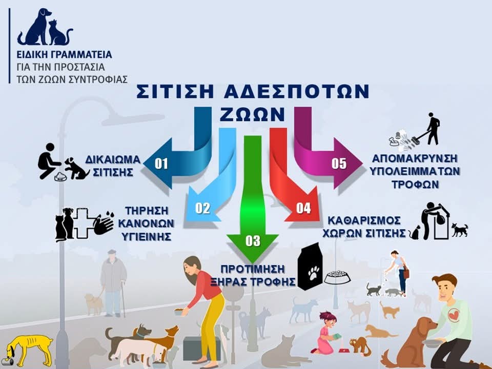 Ειδική Γραμματεία για τα Ζώα: Η φροντίδα των αδέσποτων είναι δικαίωμα ...